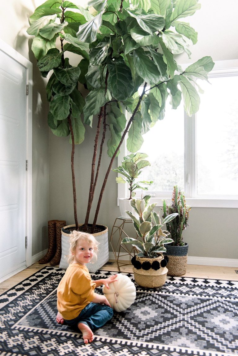 Home Decor & DIY Ideas | Northern Style Exposure